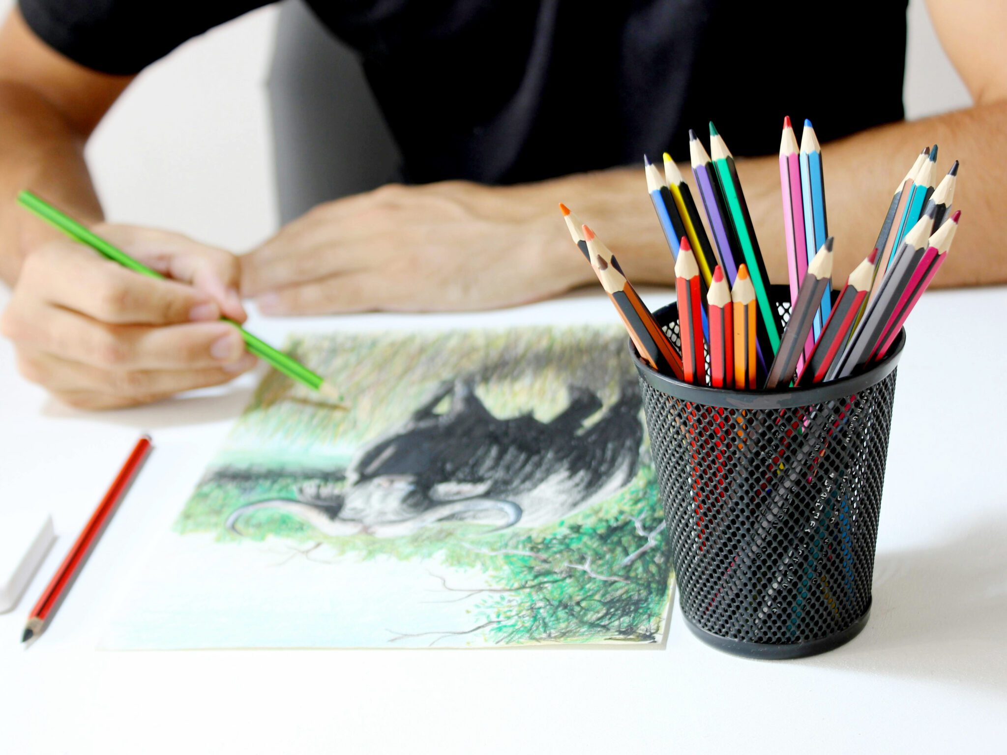 Home - Color Pencil Drawing Ideas for Beginners